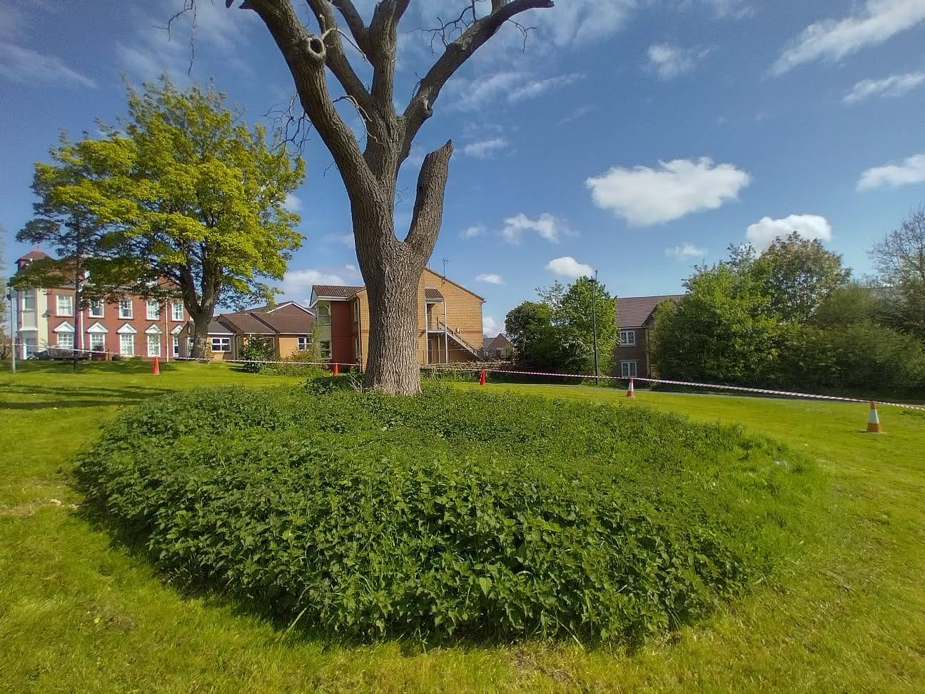 Lightmoor Village - Welcome to Lightmoor Village